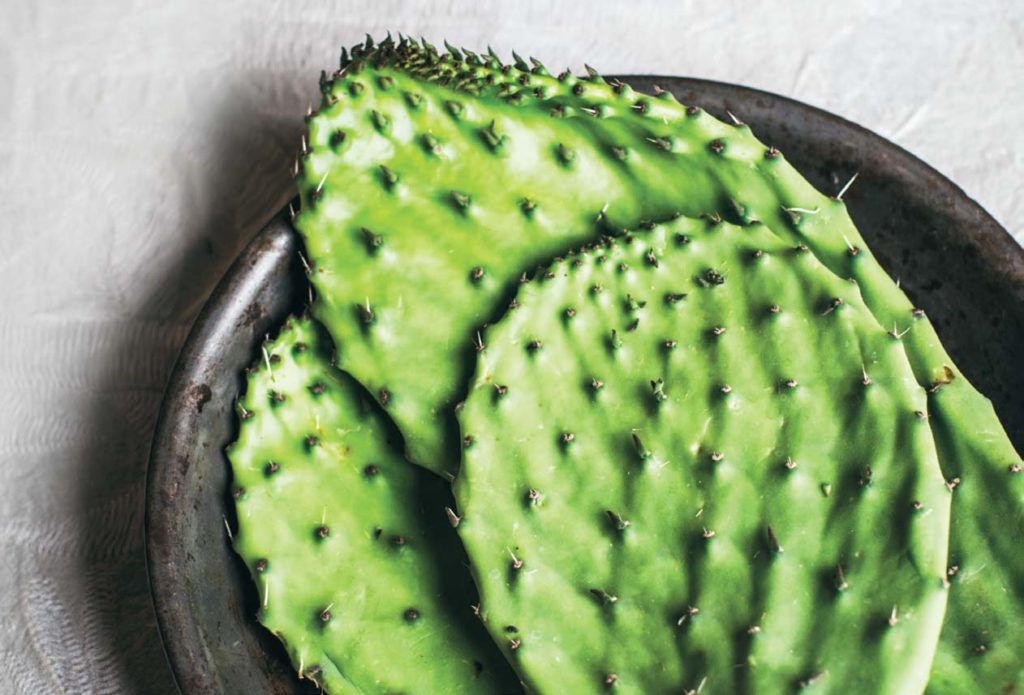 Nopalitos - Edible Rio Grande Valley