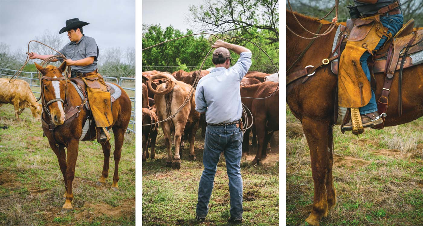 The Legacy of Cattle Ranching in the Rio Grande Valley - Edible Rio ...