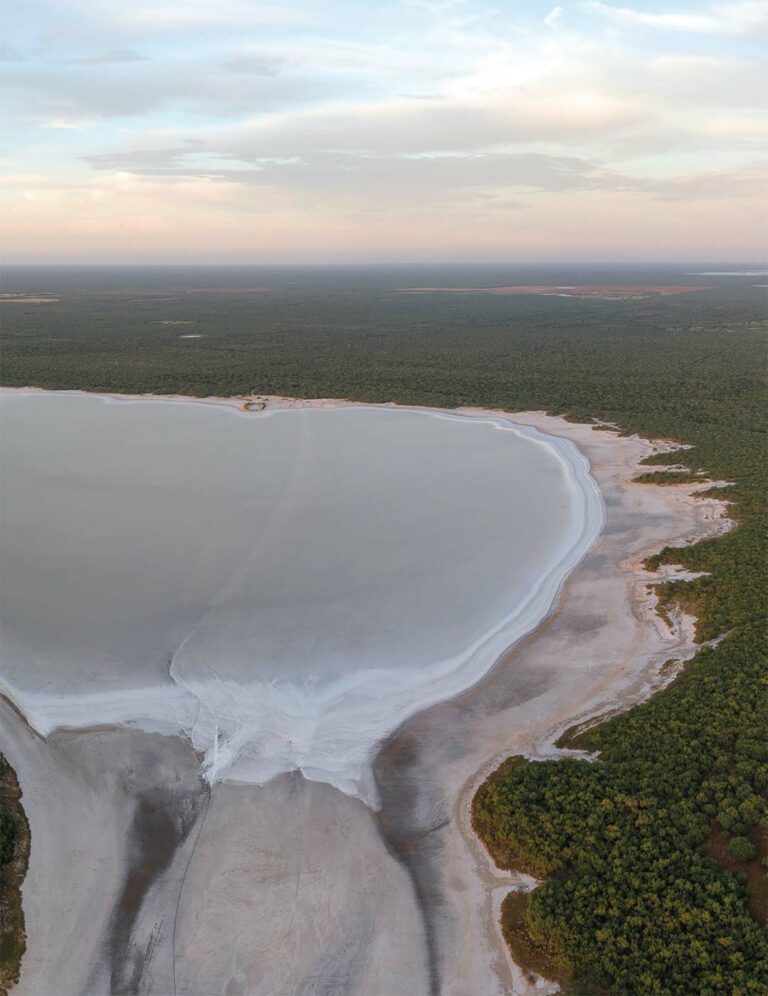 Why Salt Belonged to the King - Edible Rio Grande Valley