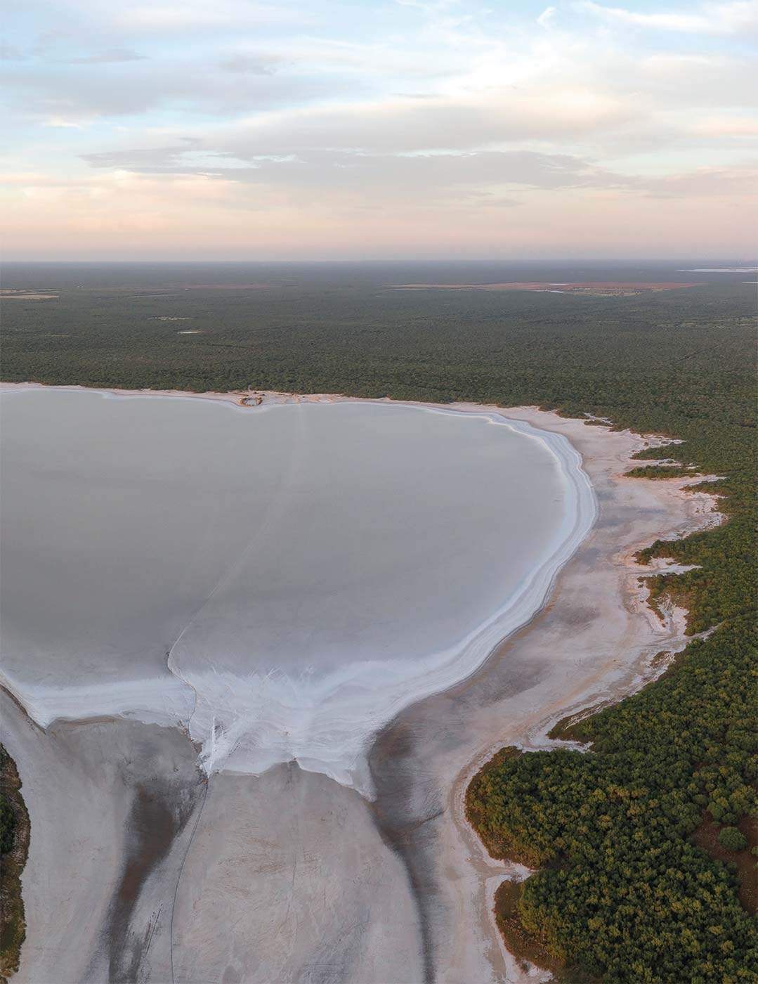 Why Salt Belonged to the King - Edible Rio Grande Valley